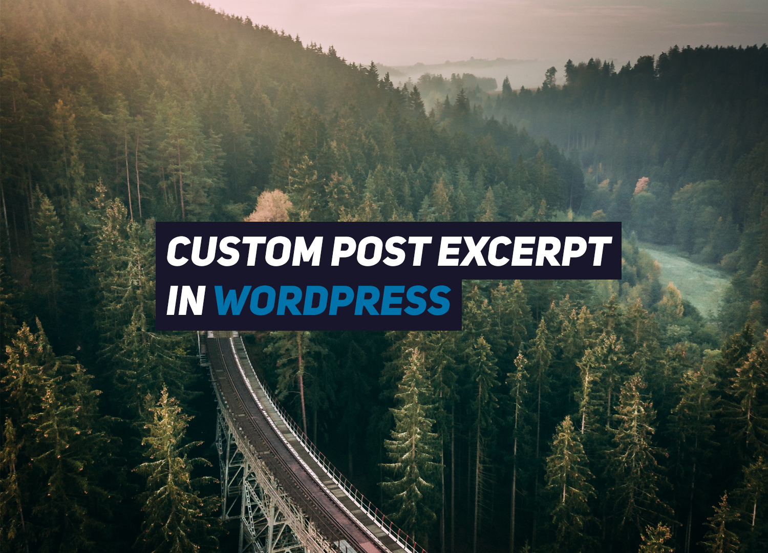 Content type related post excerpt in WordPress – Renat Galyamov Content type related post excerpt in WordPress – Renat Galyamov